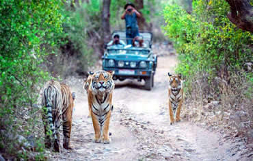 Explore India Tour Adventure, Explore Adventure Tour India.